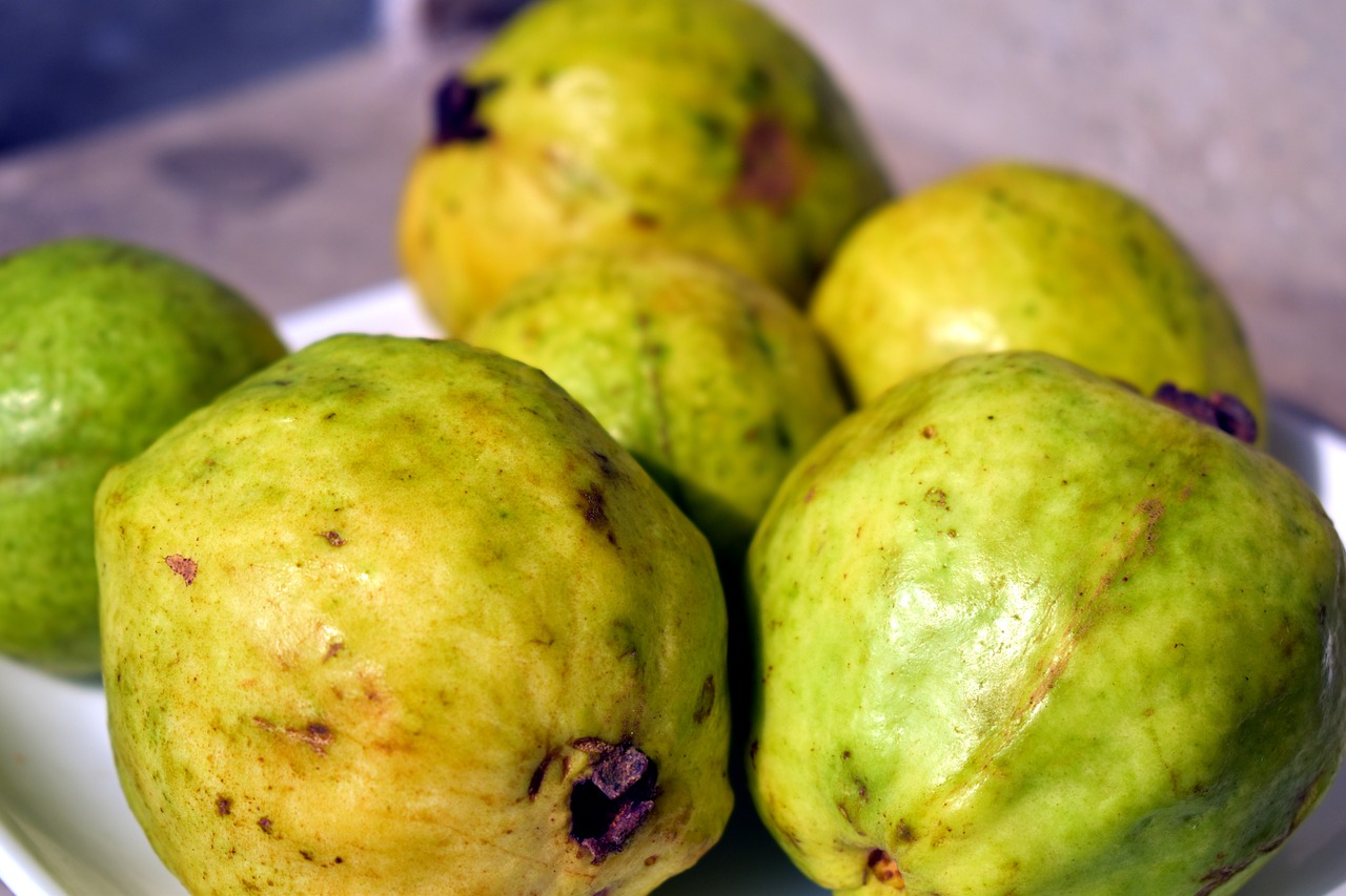 Frutas Ricas em Polifenóis: Todos os benefícios para a saúde! - Tips4Life