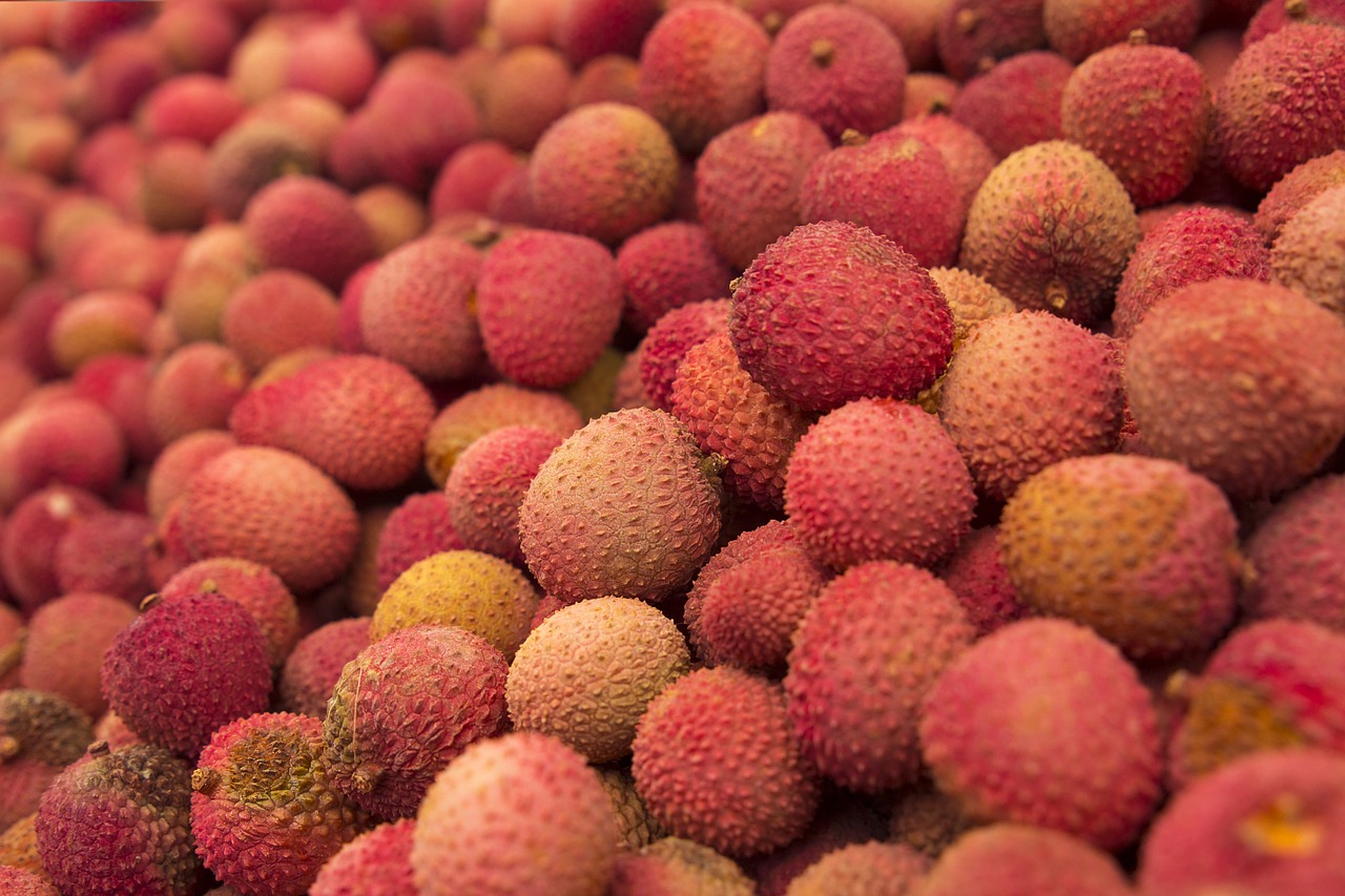 Frutas Ricas em Polifenóis: Todos os benefícios para a saúde! - Tips4Life