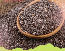 Tips4Life - Bem-estar para você