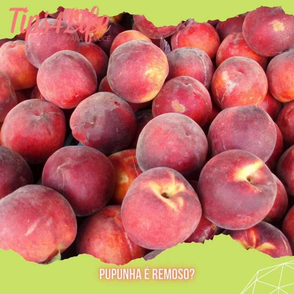 Pupunha é remoso? Saiba se é ou não! - Tips4Life