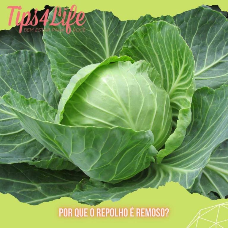 Saiba se o repolho é remoso e se ele é bom para sua saúde - Tips4Life Saiba se o repolho é remoso e se ele é bom para sua saúde - Tips4Life